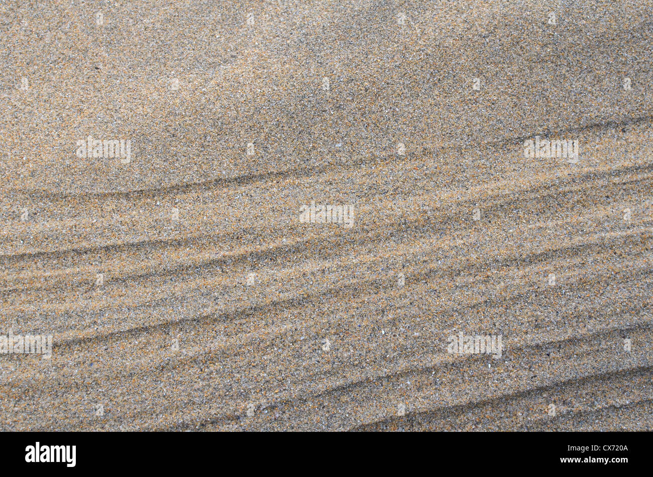 Rippled sand / fluvial ridges on beach / shoreline after tide has just ...