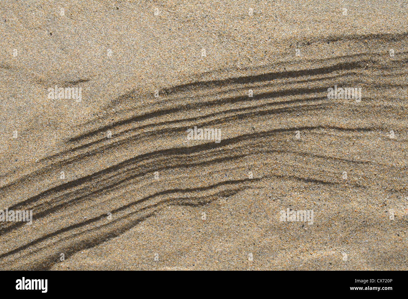 Rippled sand / fluvial ridges on beach / shoreline after tide has just ...