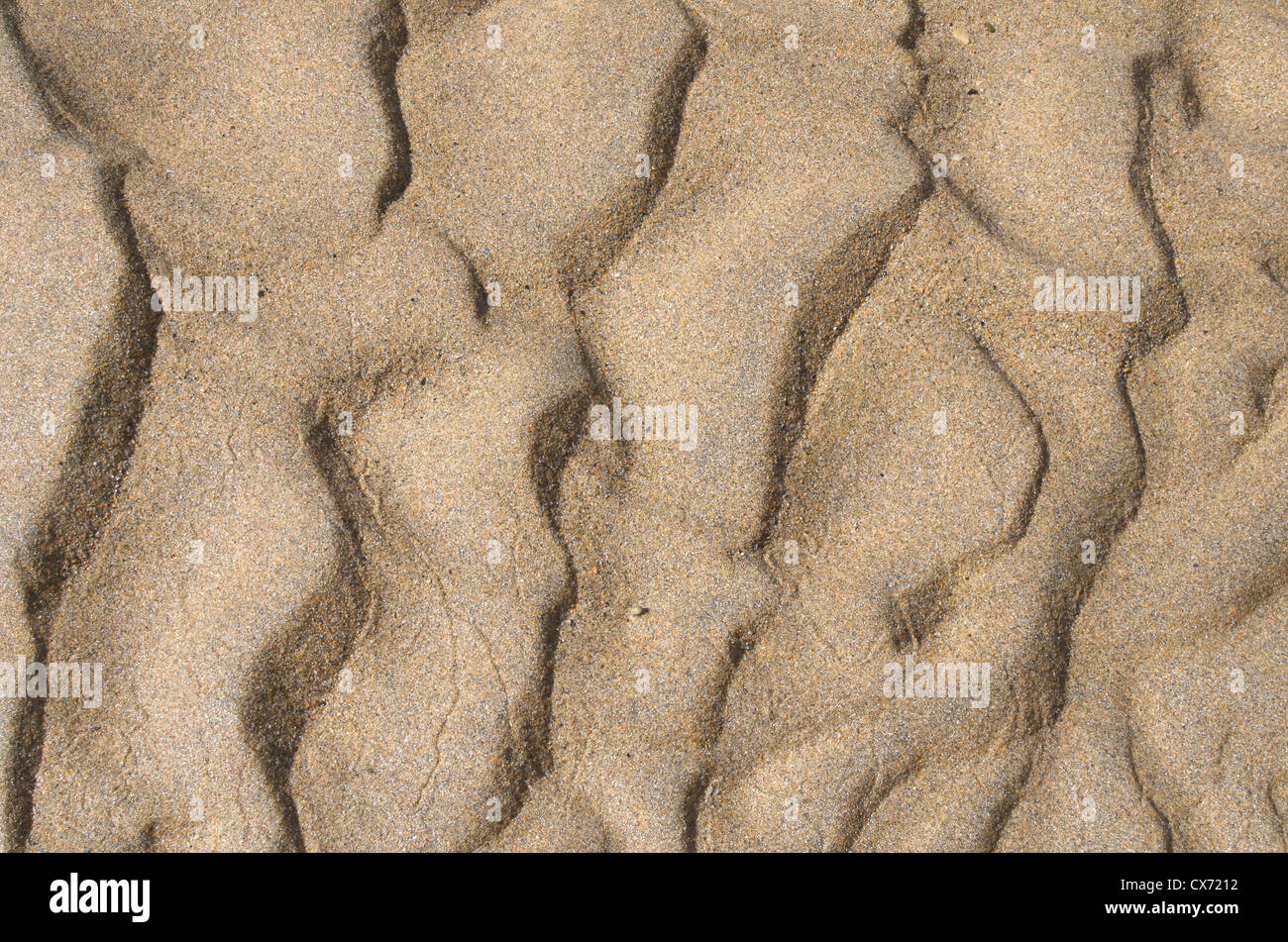 Rippled sand / fluvial ridges on beach / shoreline after tide has just ...
