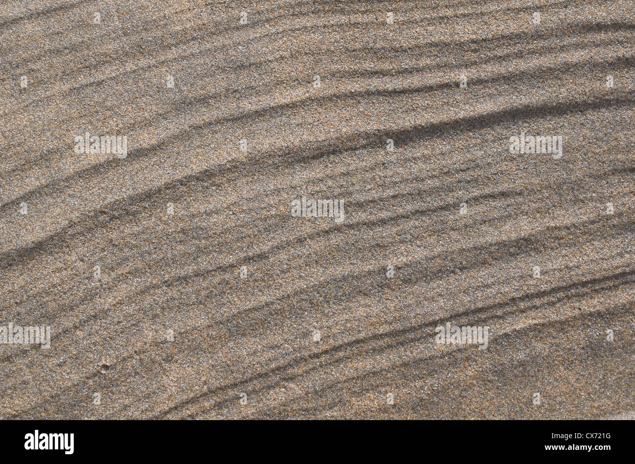 Rippled sand / fluvial ridges on beach / shoreline after tide has just ...