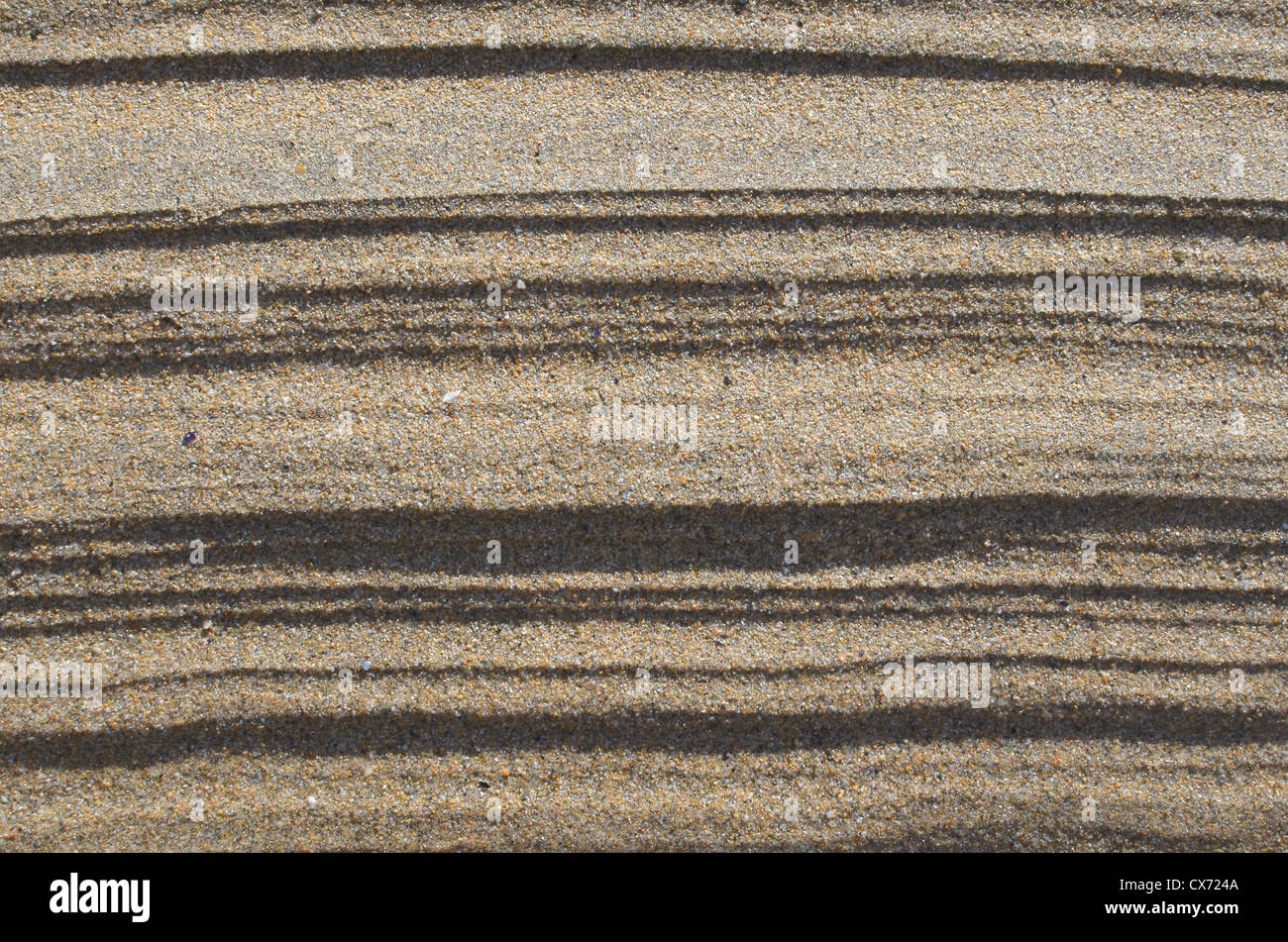 Rippled sand / fluvial ridges on beach / shoreline after tide has just ...