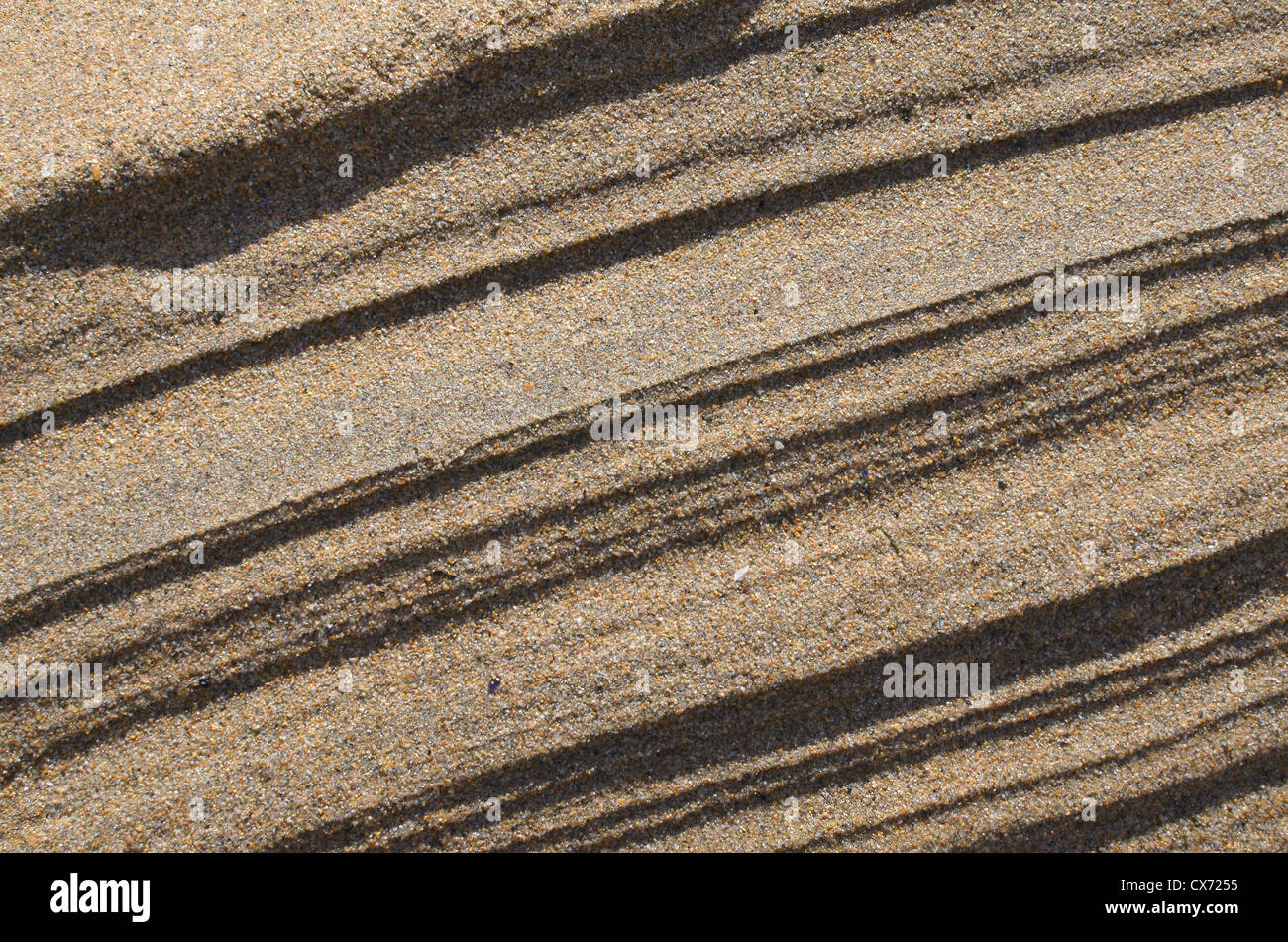 Rippled sand / fluvial ridges on beach / shoreline after tide has just ...