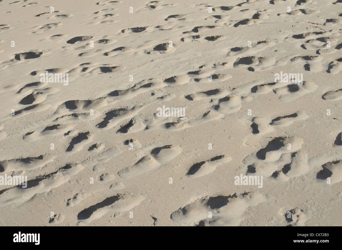 Concept of human activity -Multiple footprints on sandy beach ...