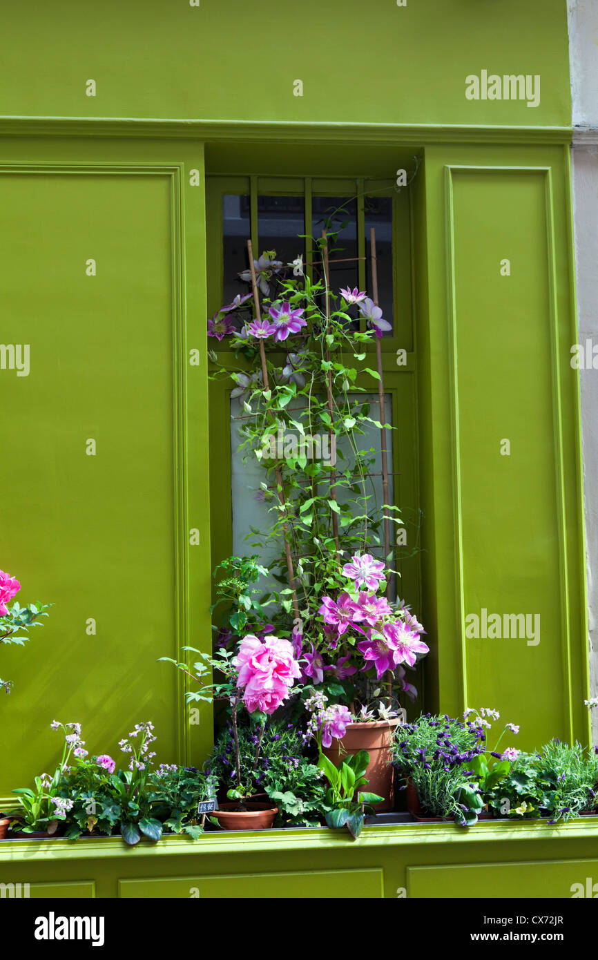 Spring window display, Paris, France Stock Photo - Alamy