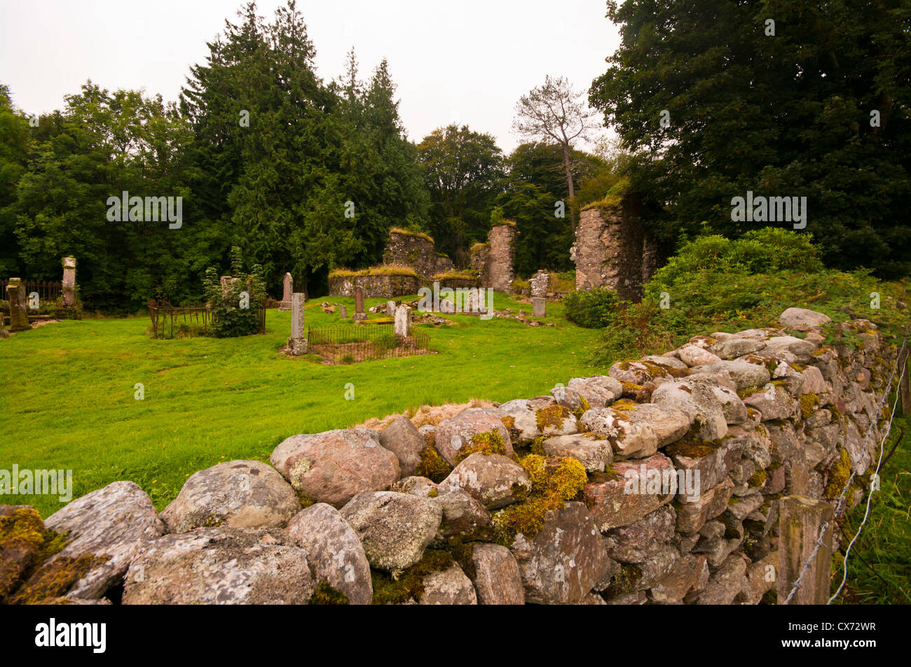 Saddell abbey scotland hi-res stock photography and images - Alamy