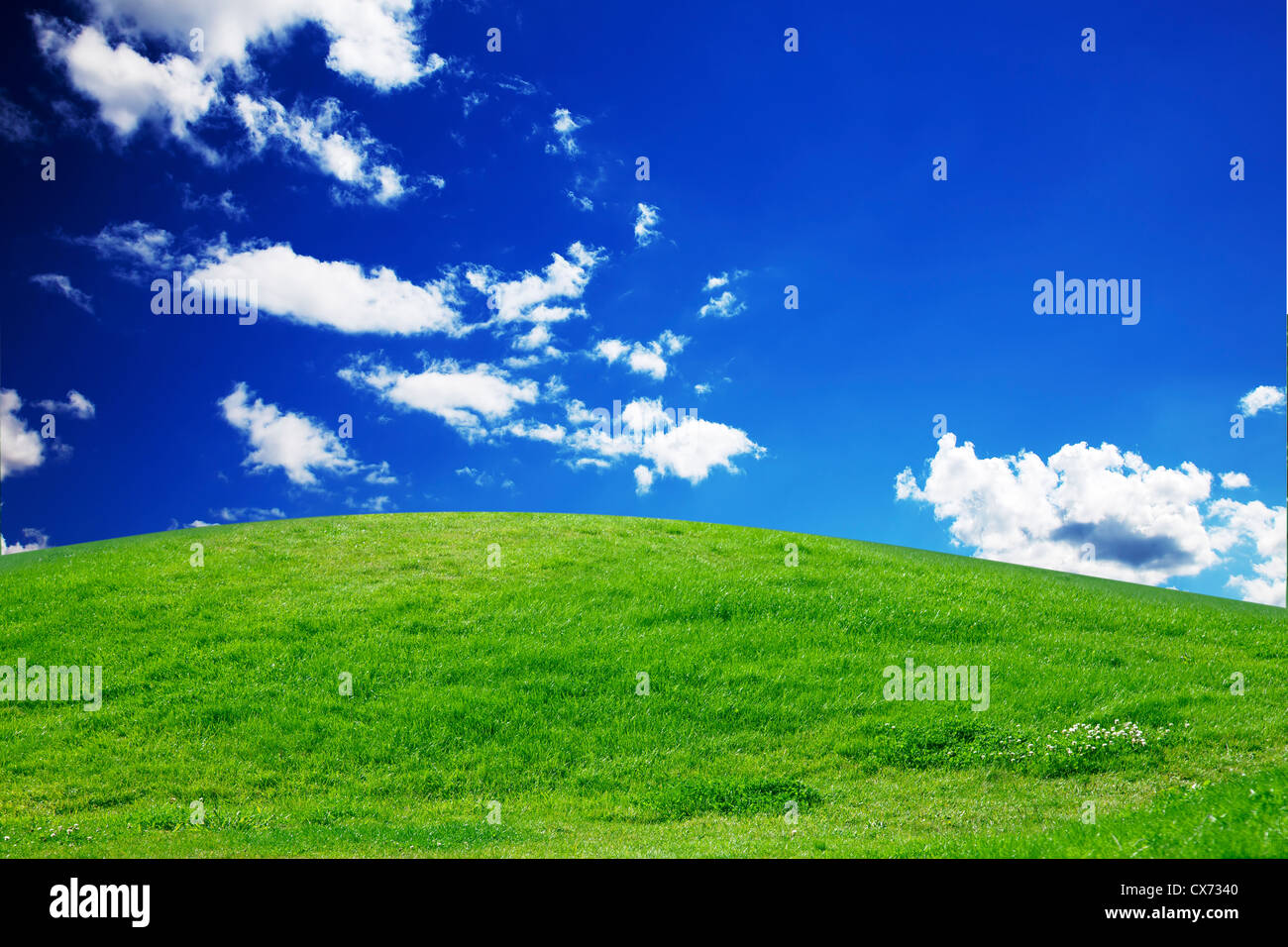 green field and blue sky Stock Photo - Alamy