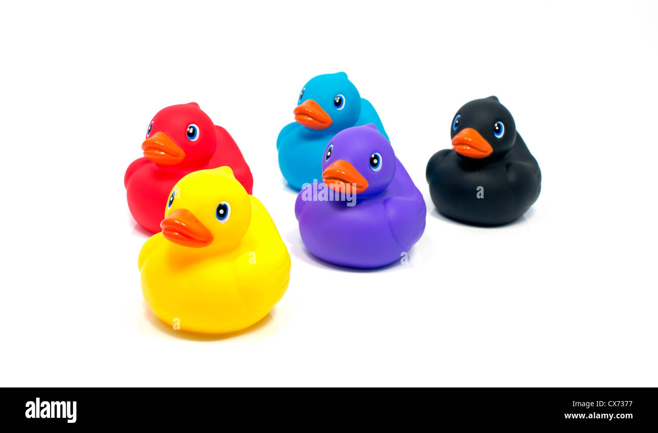 Black ducks Cut Out Stock Images & Pictures - Alamy