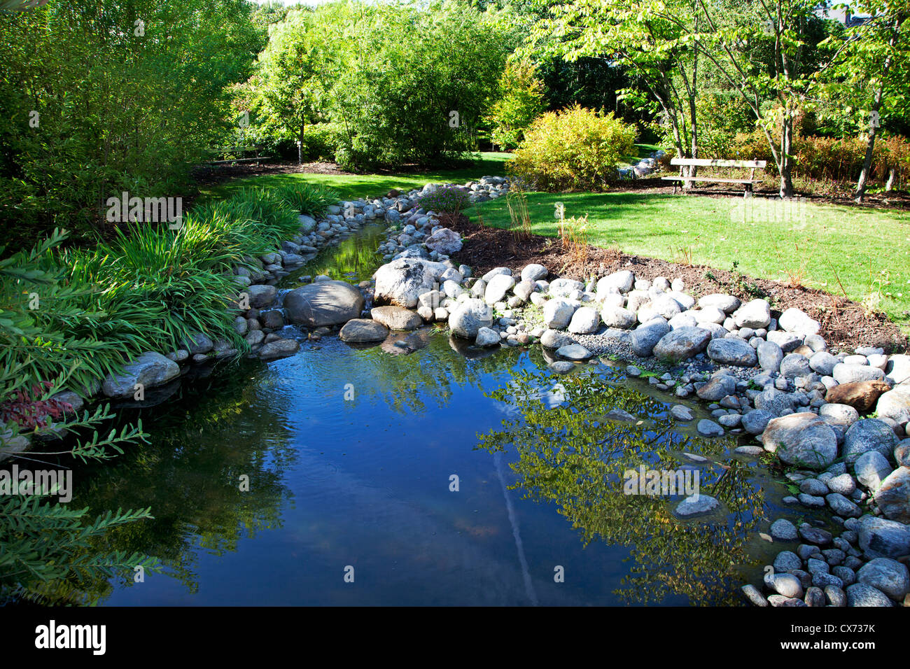 Garden with pond and bench Stock Photo - Alamy