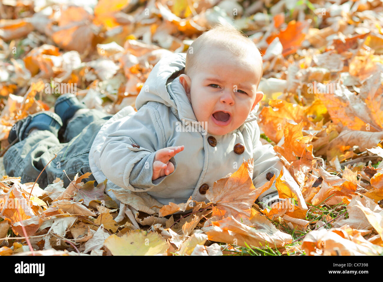 One and a half year old crying baby boy lying on the autumn leaves ...
