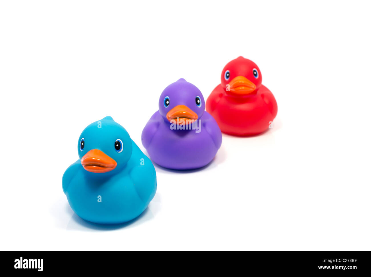 Pink And Blue Rubber Ducks