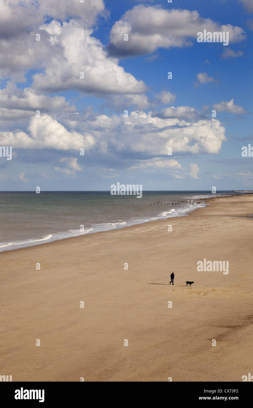 Distant dog walker on deserted Winterton Beach Norfolk September Stock ...