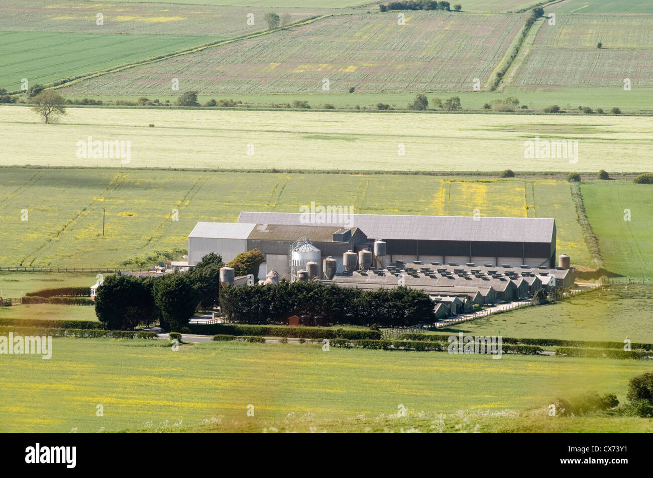Large scale farming hi-res stock photography and images - Alamy