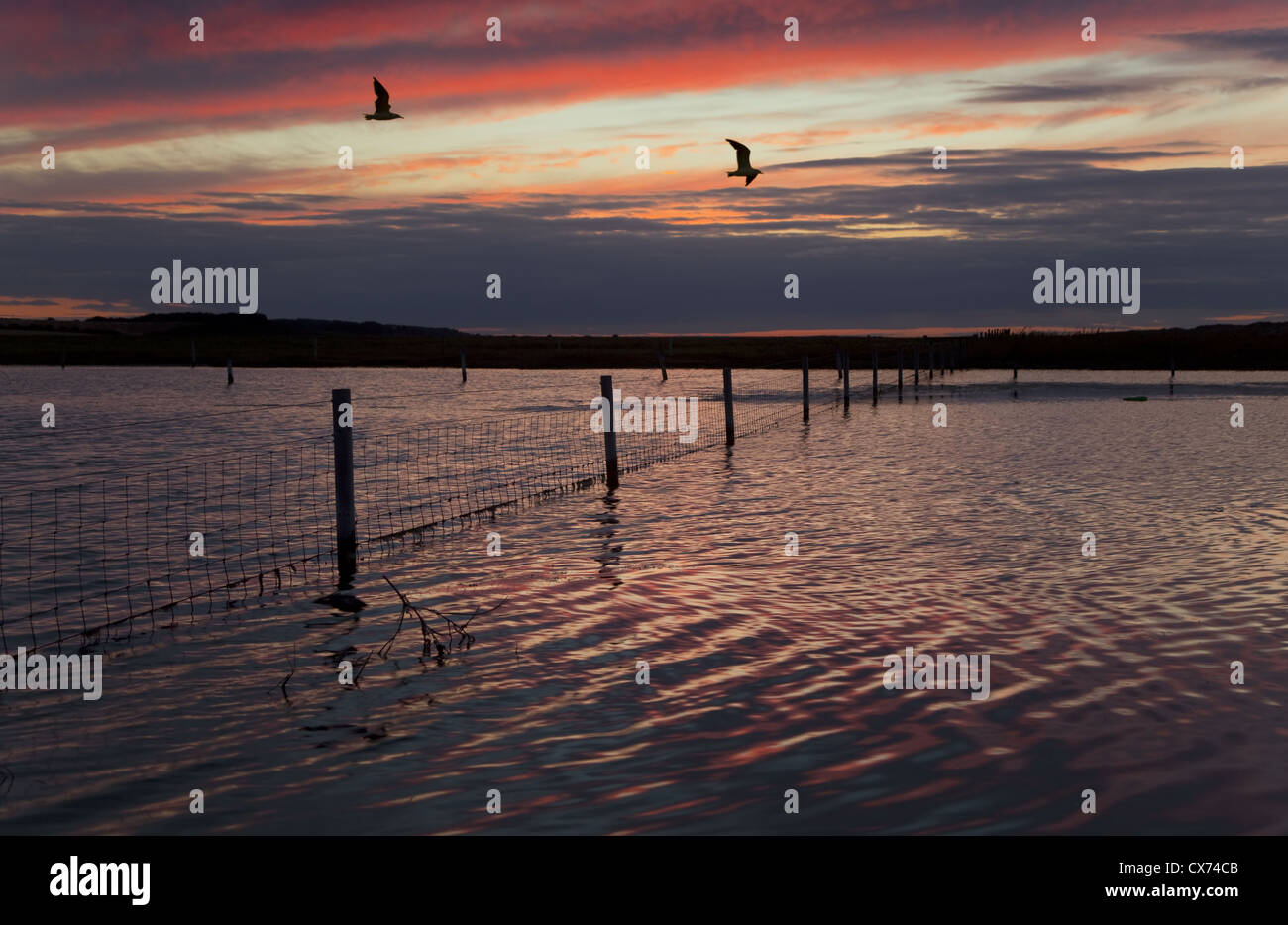 Coastal pool at sunset north sea coast Salthouse Norfolk September ...
