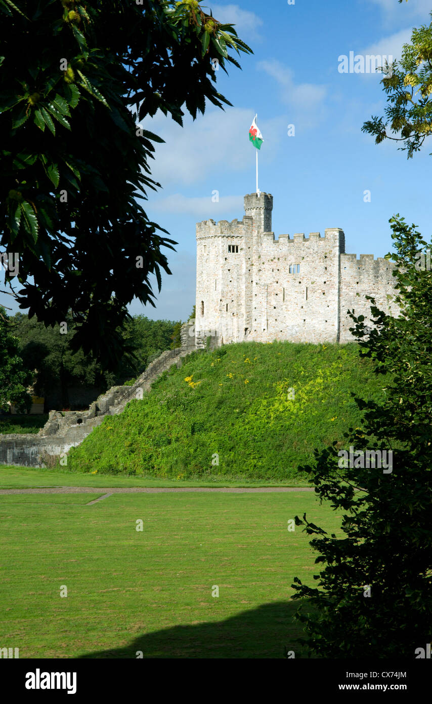 Cardiff Castle Wales Red Dragon High Resolution Stock Photography and ...
