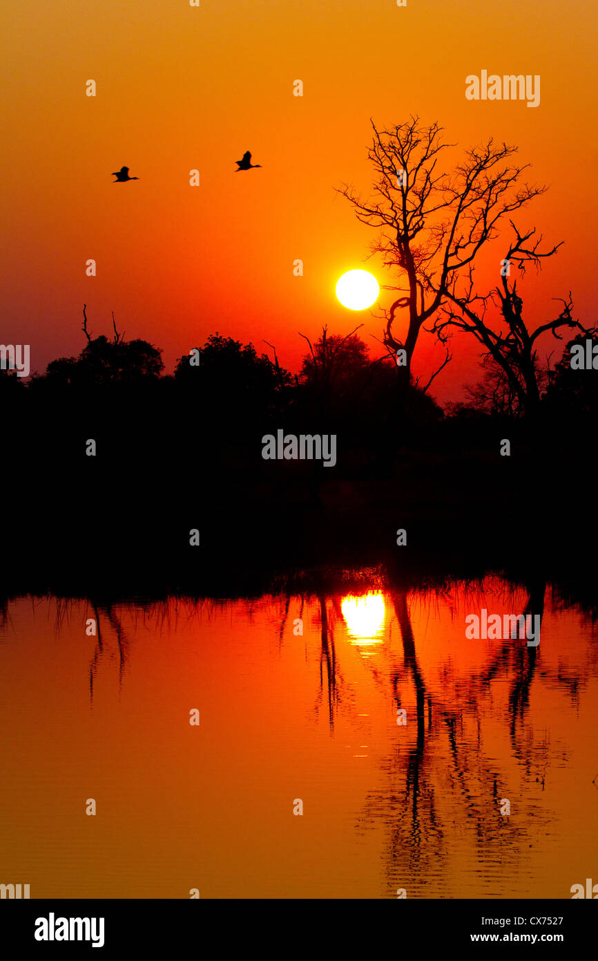 Okavango delta, botswana sunset hi-res stock photography and images - Alamy