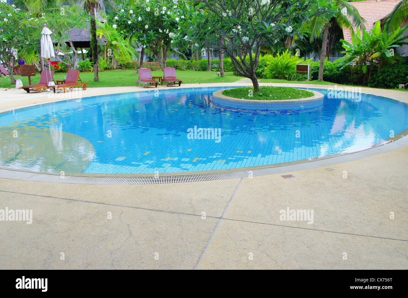 tropical swimming pool with coconut tree and white umbrella Stock Photo ...