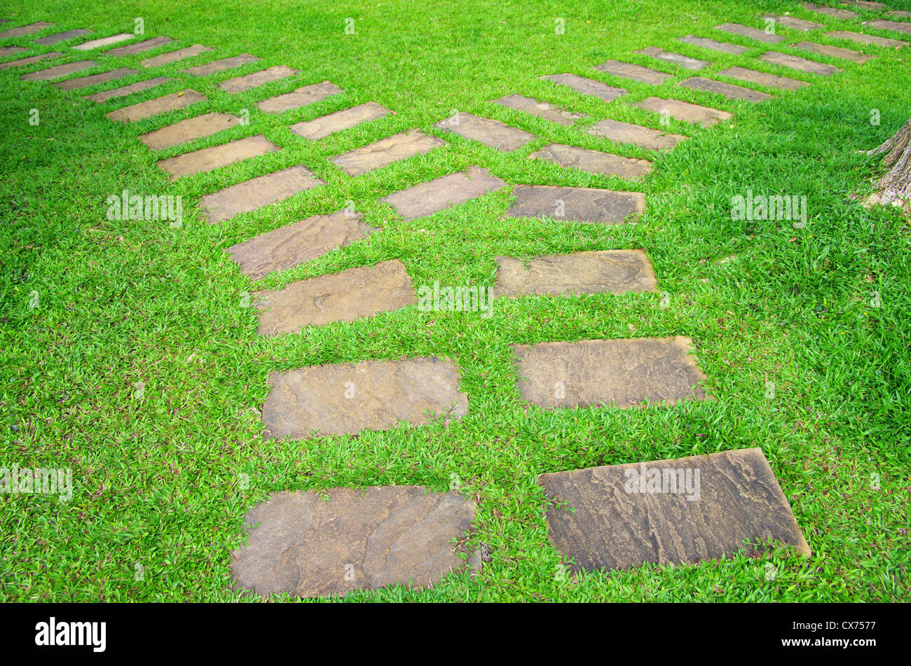 Garden stone path with grass Stock Photo - Alamy