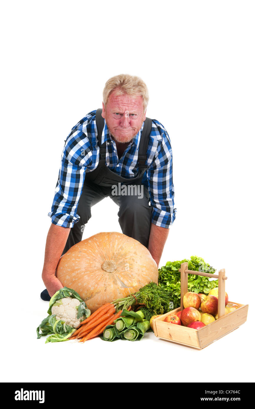 Gardener lifting big and heavy pumpkin Stock Photo - Alamy
