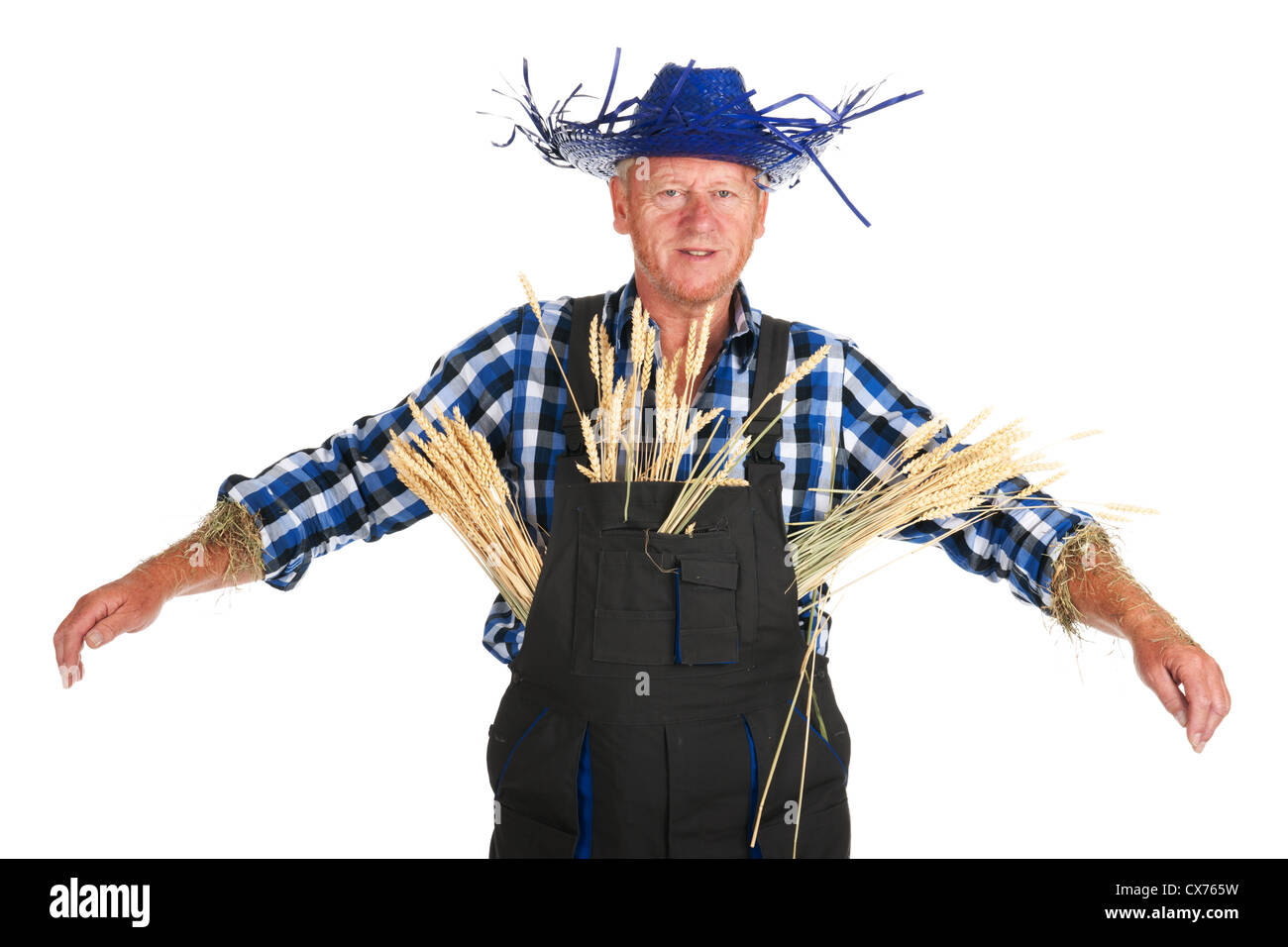 Human scarecrow isolated over white background Stock Photo - Alamy