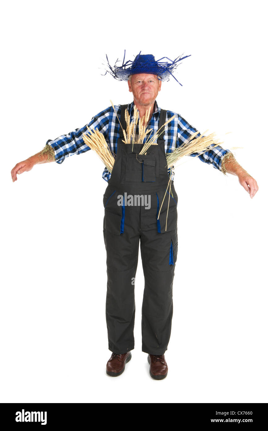 Human scarecrow isolated over white background Stock Photo - Alamy
