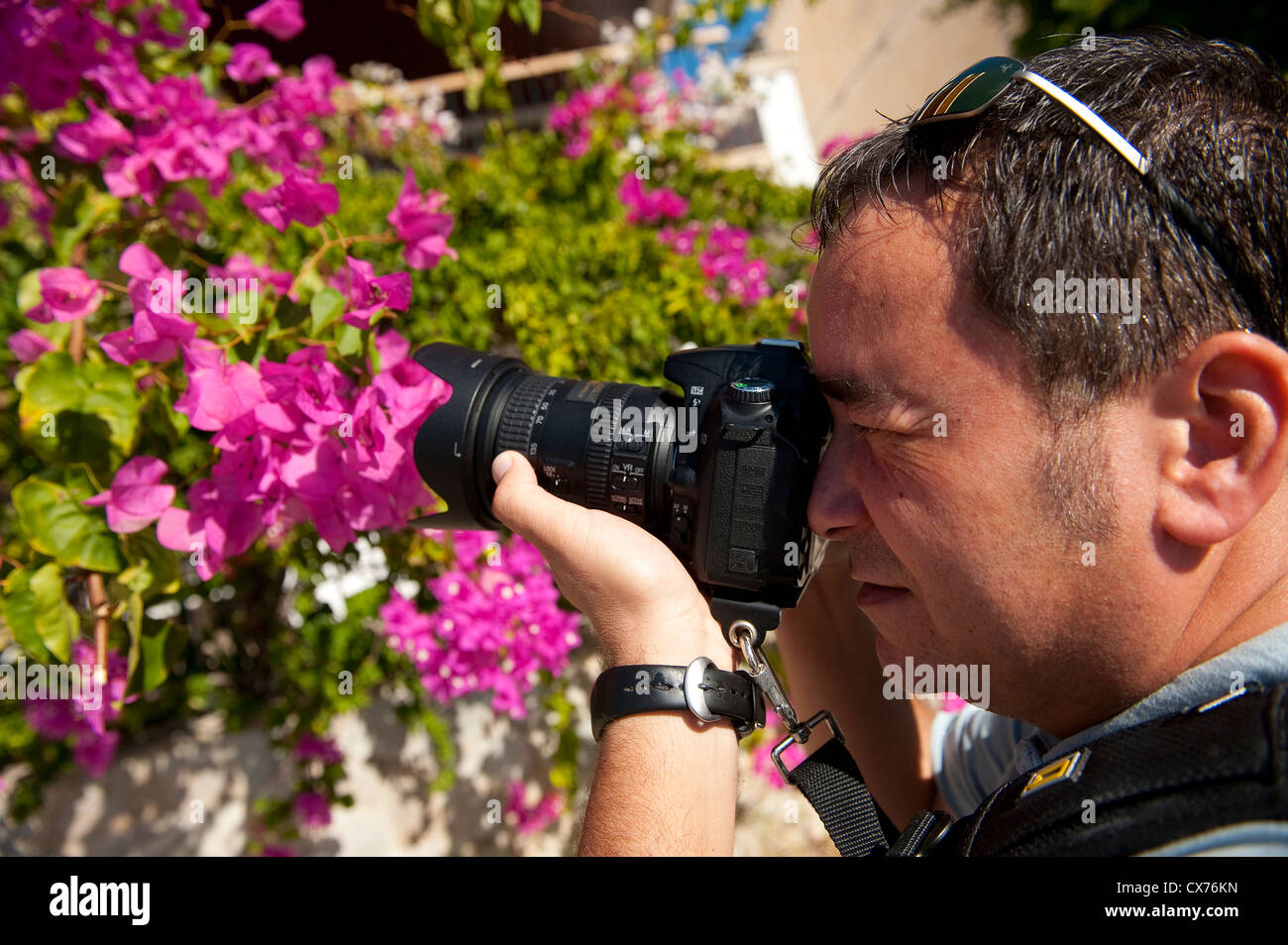 Using Camera To Take Close Up Photograph High Resolution Stock ...