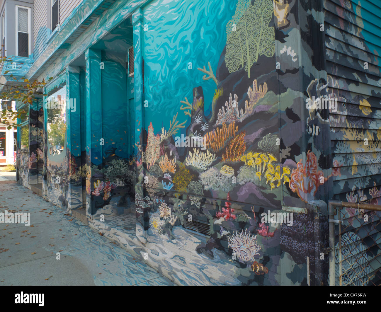 Sea creatures mural hi-res stock photography and images - Alamy