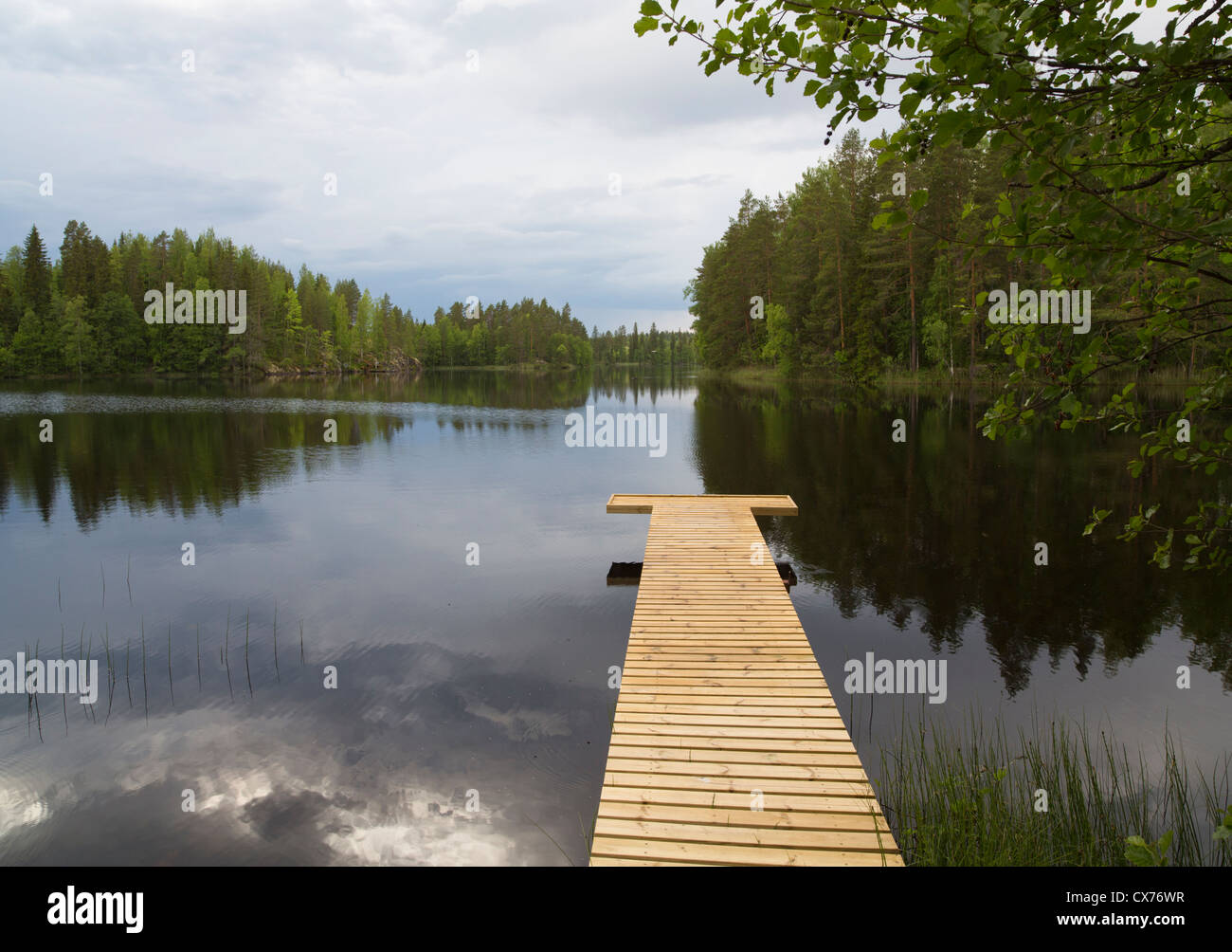 View lake small jetty woods hi-res stock photography and images - Alamy