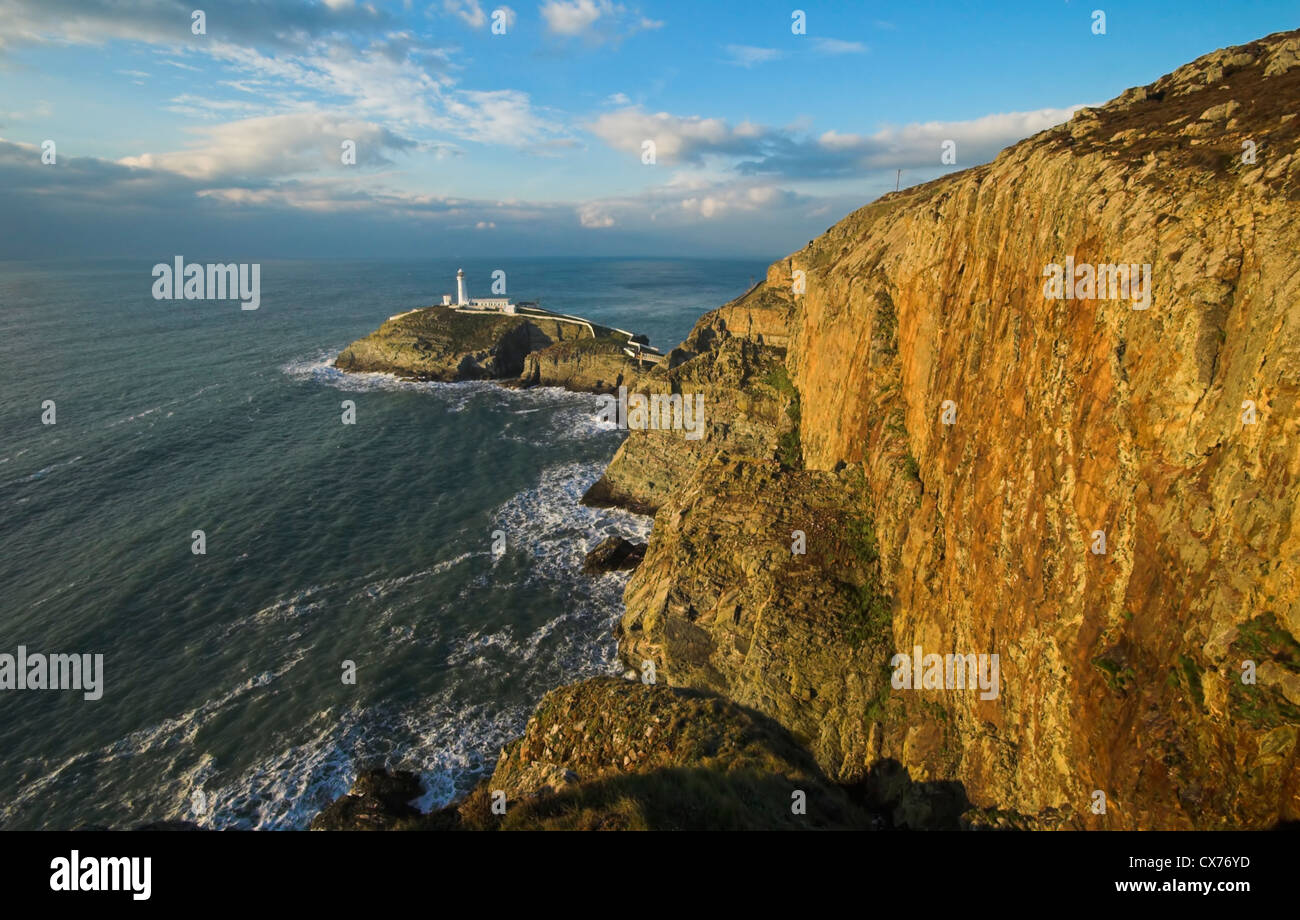 South Stack Light House, RSPB reserve, Anglesey, North Wales Stock ...
