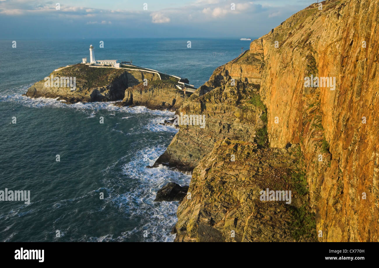 South stack reserve hi-res stock photography and images - Alamy