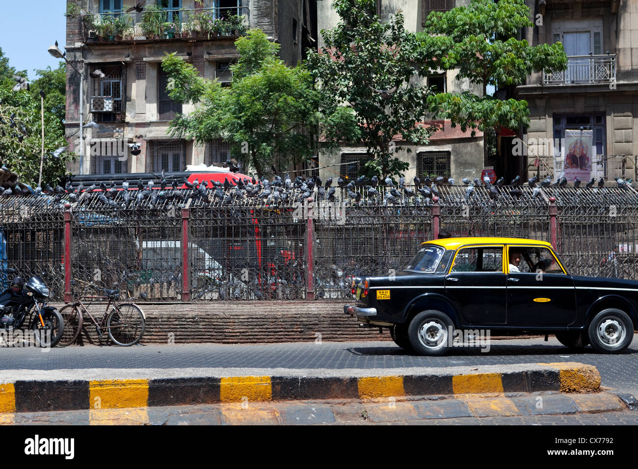 One of the many 'pigeon restaurants' on the streets of Mumbai Stock ...