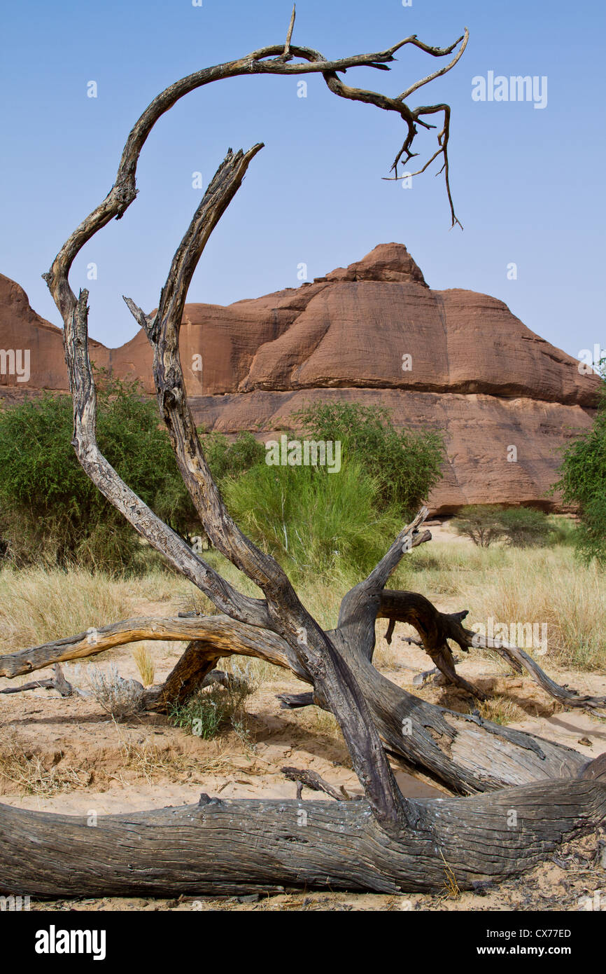 ennedi mountains chad Stock Photo - Alamy