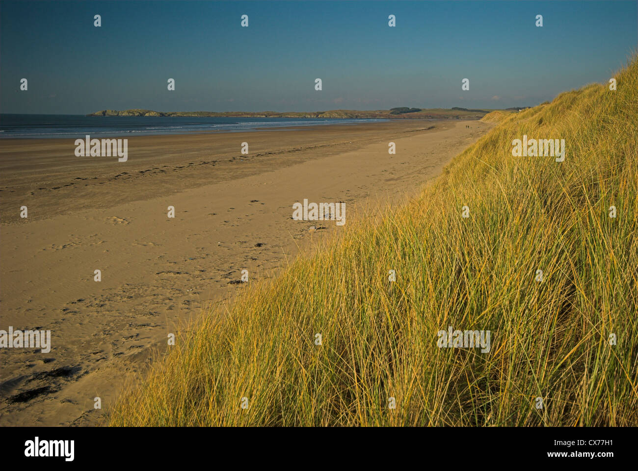 Newborough Beach sand dunes, Anglesey, North Wales Stock Photo - Alamy