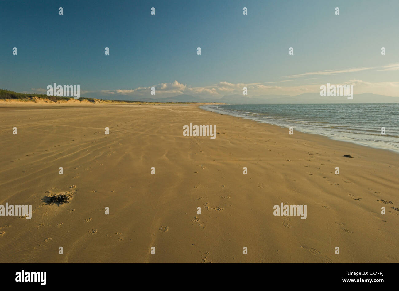 Newborough Beach sand dunes, Anglesey, North Wales Stock Photo - Alamy
