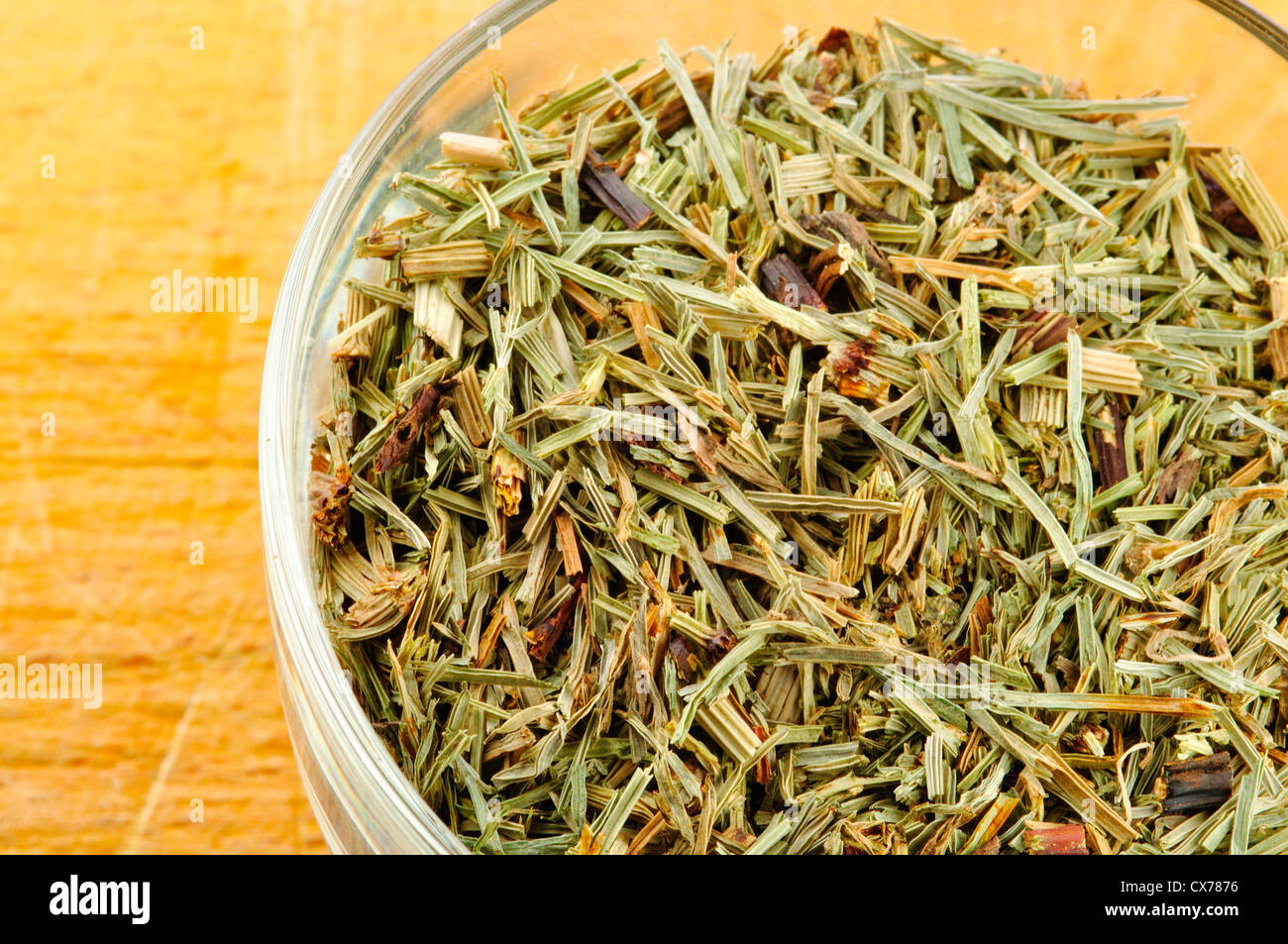 Field Horsetail Equisetum Arvense, Dried Sprouts Stock Photo - Alamy