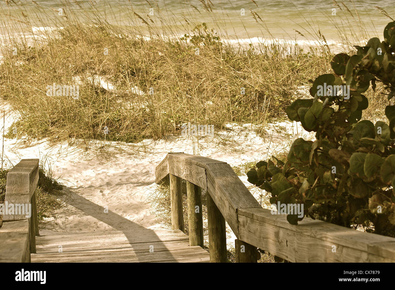 Bean point beach hi-res stock photography and images - Alamy