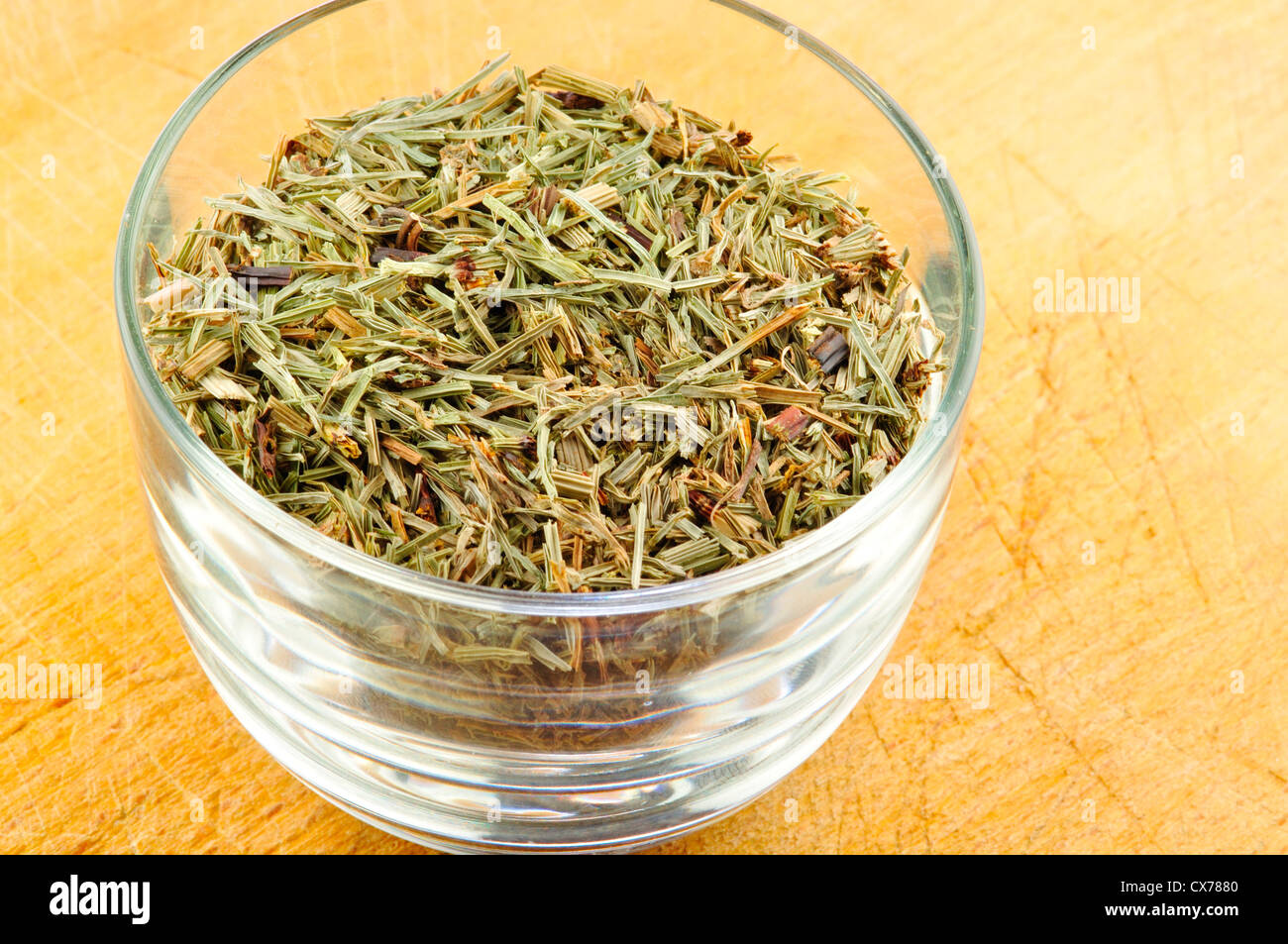 Field Horsetail Equisetum Arvense, Dried Sprouts Stock Photo - Alamy