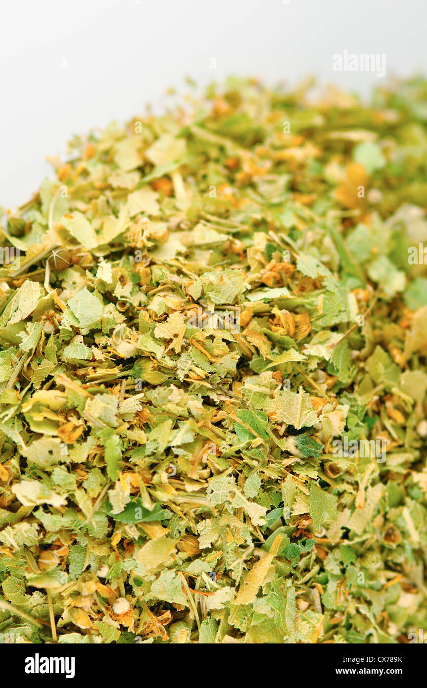 Medicinal plant dried, Small leaved lime tea- Tilia cordata Stock Photo ...