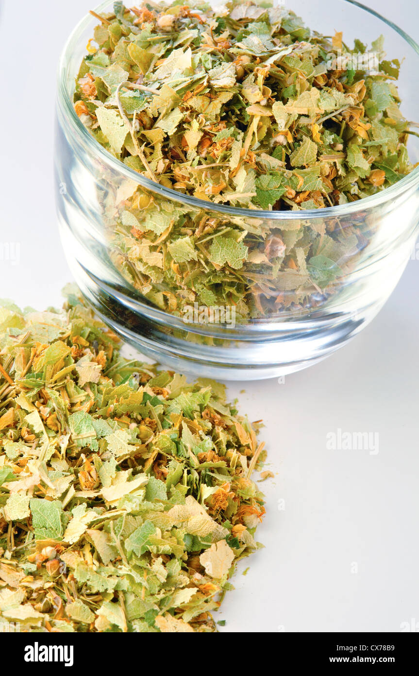 Medicinal plant dried, Small leaved lime tea- Tilia cordata Stock Photo ...