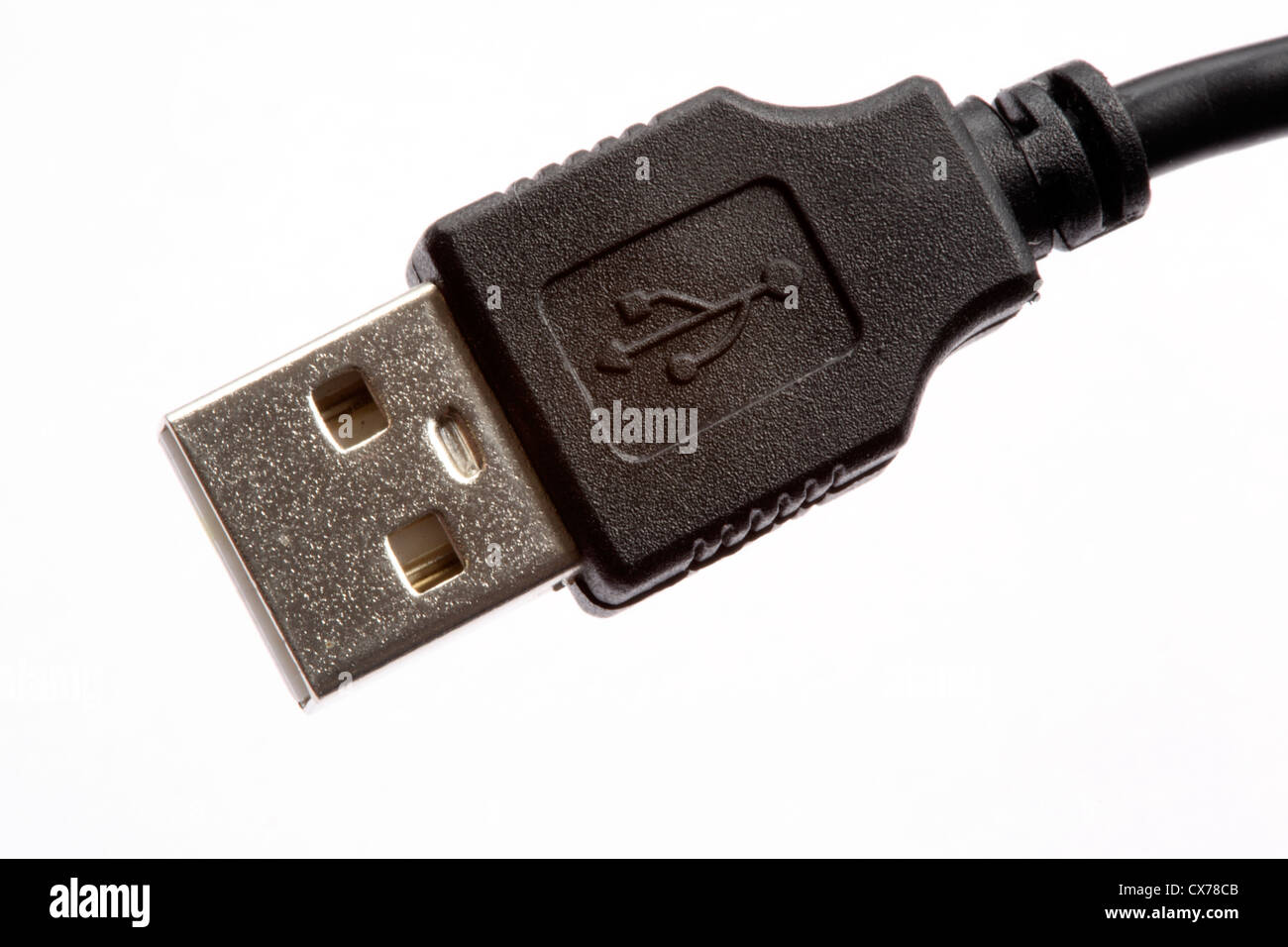 USB A-Male connector Stock Photo - Alamy