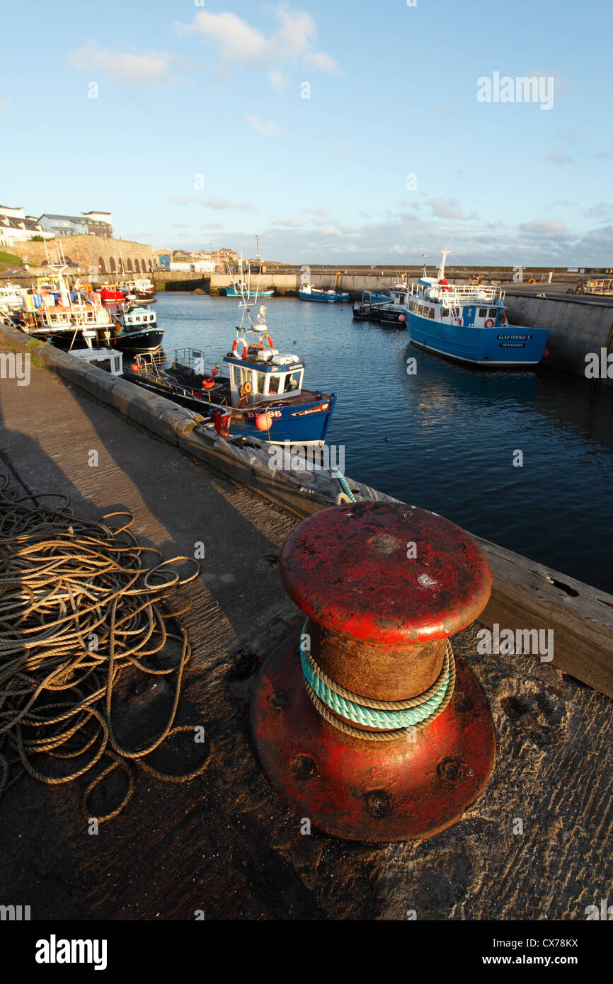 The harbour at Seahouses on the Northumberland coast Stock Photo - Alamy