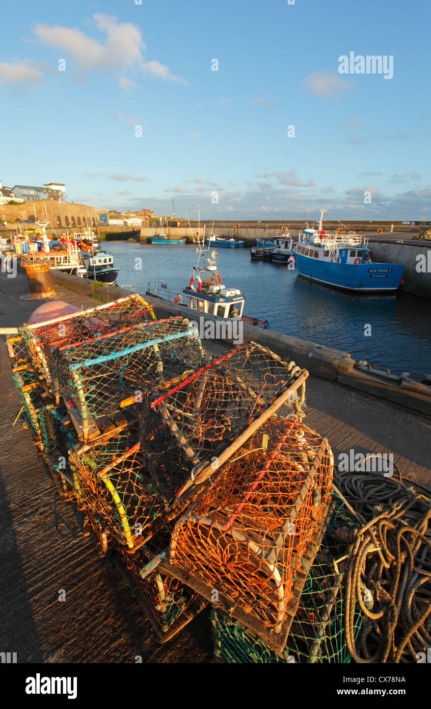The harbour at Seahouses on the Northumberland coast Stock Photo - Alamy
