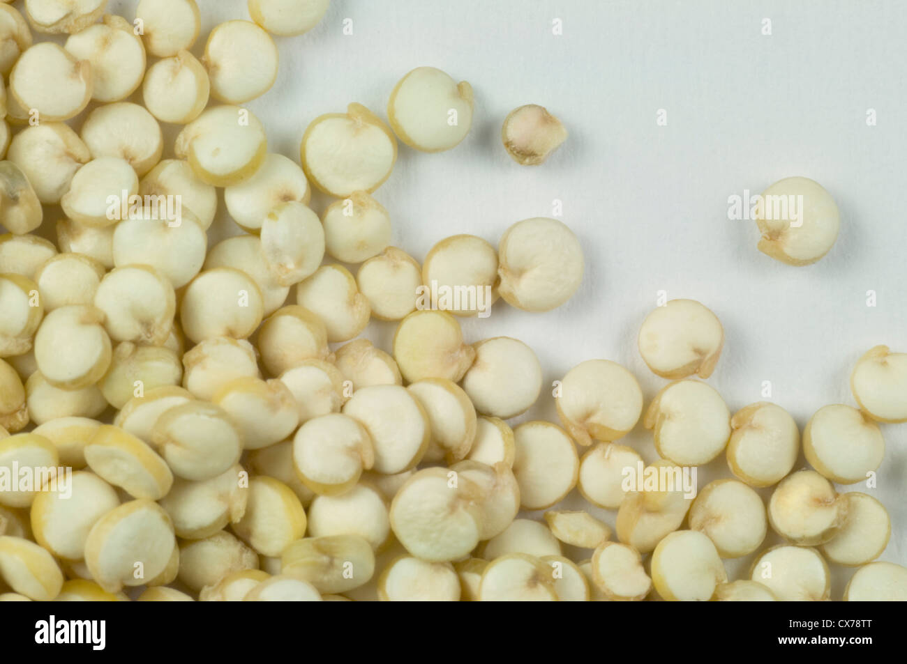 Quinoa, Chenopodium quinoa Stock Photo - Alamy