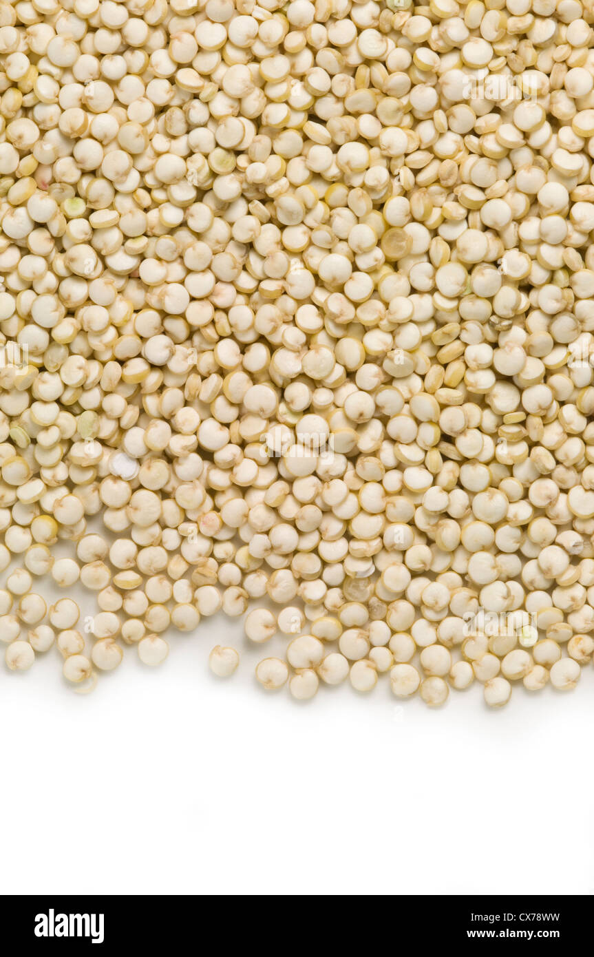 Quinoa, Chenopodium quinoa Stock Photo - Alamy