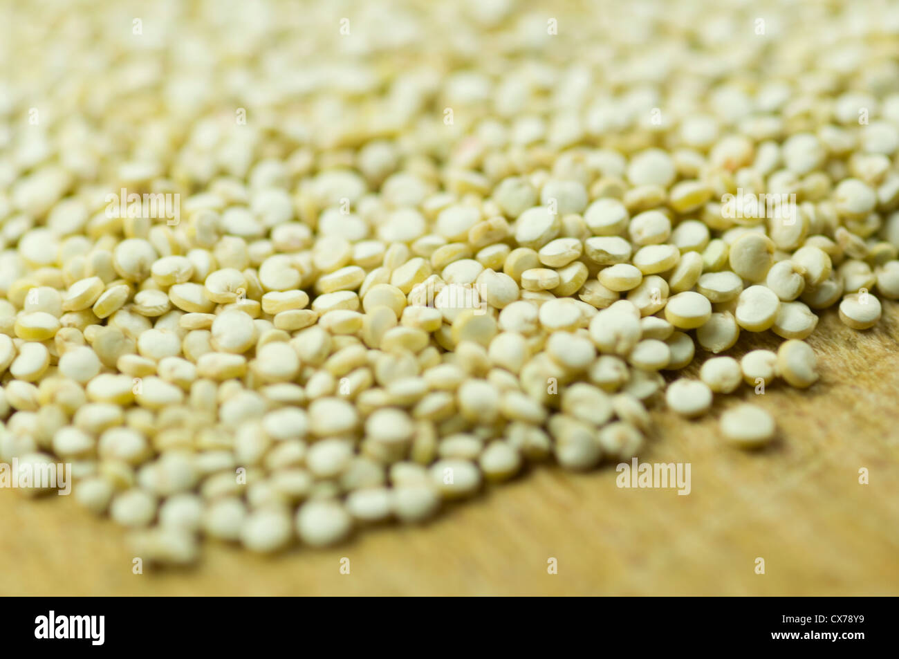 Quinoa, Chenopodium quinoa Stock Photo - Alamy