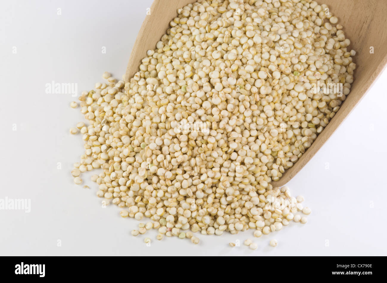 Quinoa, Chenopodium quinoa Stock Photo - Alamy