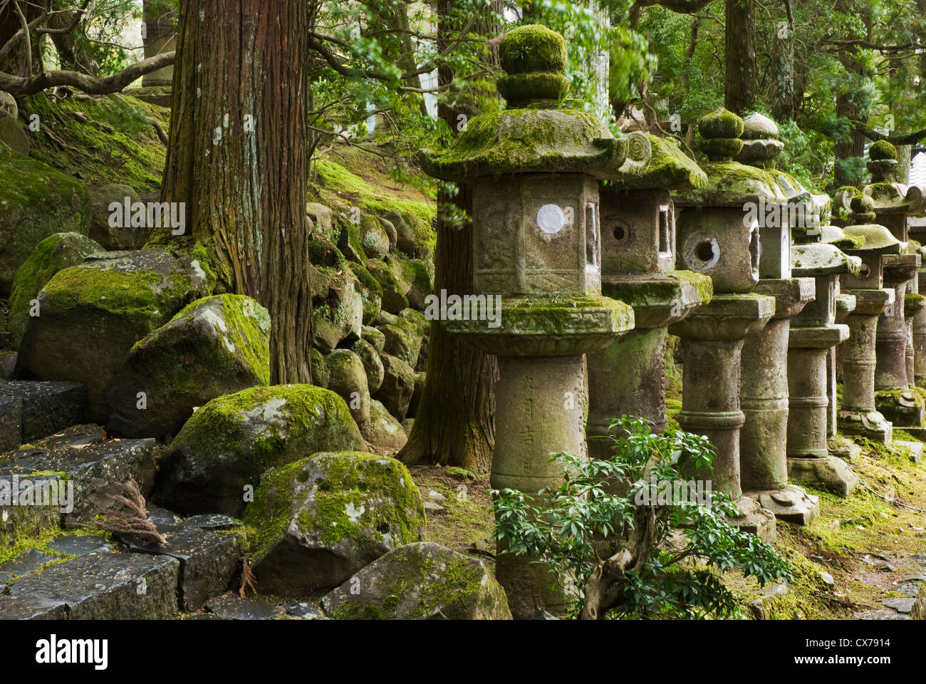 Moss Covered Japanese Stone Lanterns; Nara, Japan Stock Photo - Alamy