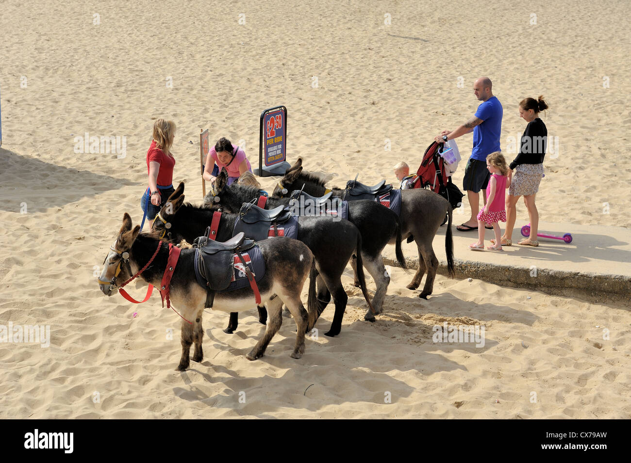 Donkey rides great england norfolk uk yarmouth hi-res stock photography ...