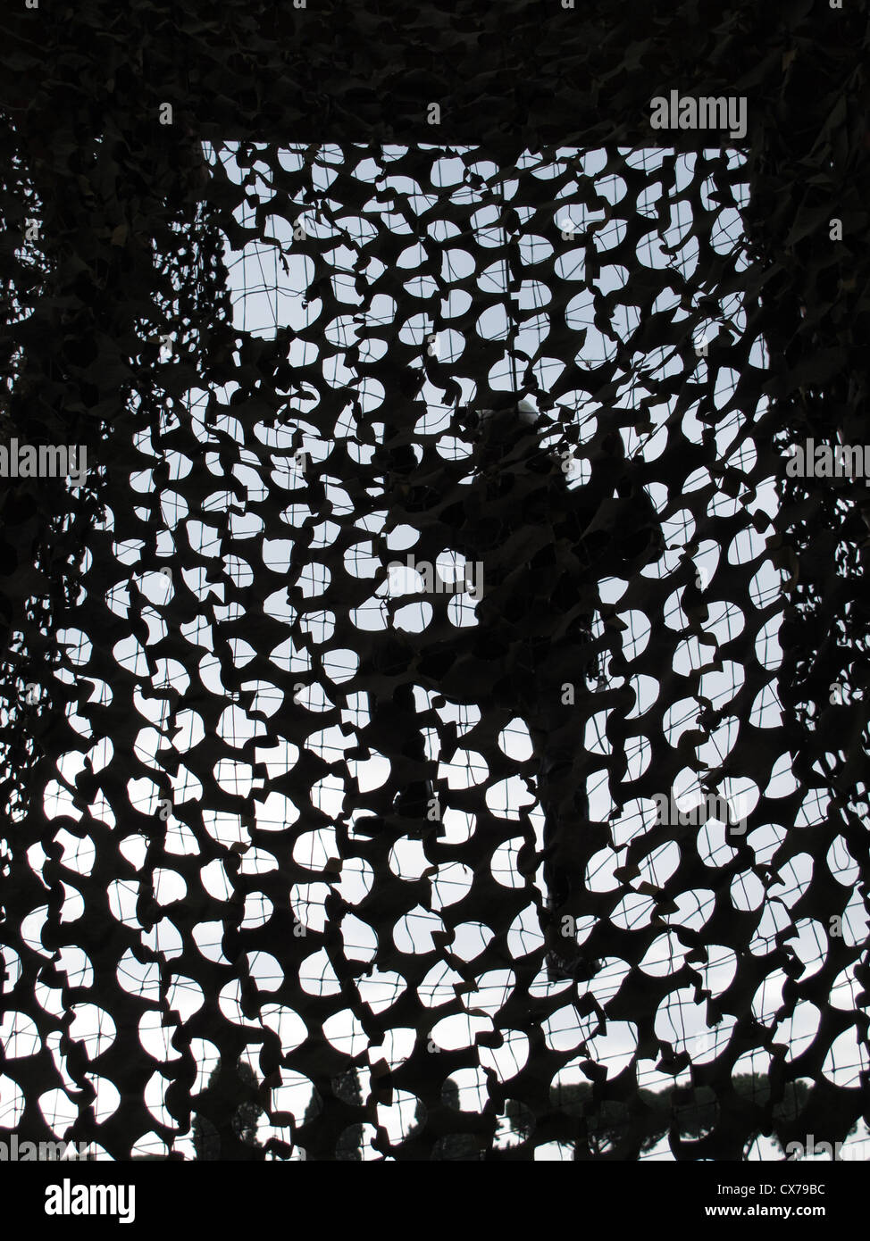 Military soldier climbing net hi-res stock photography and images - Alamy