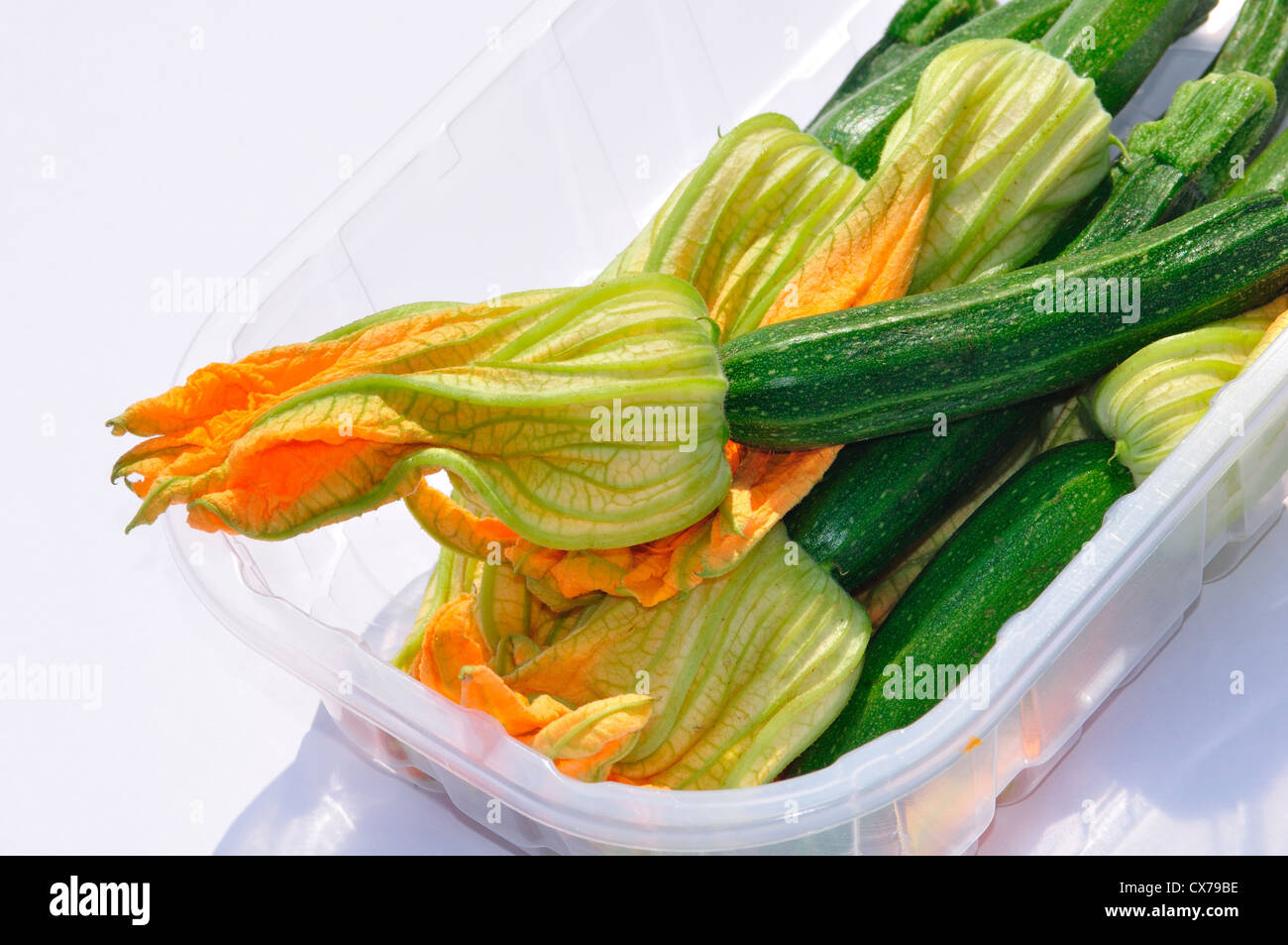 Zucchini flowers, Courgette blooms, Pumpkin flower in Plastic Tray ...