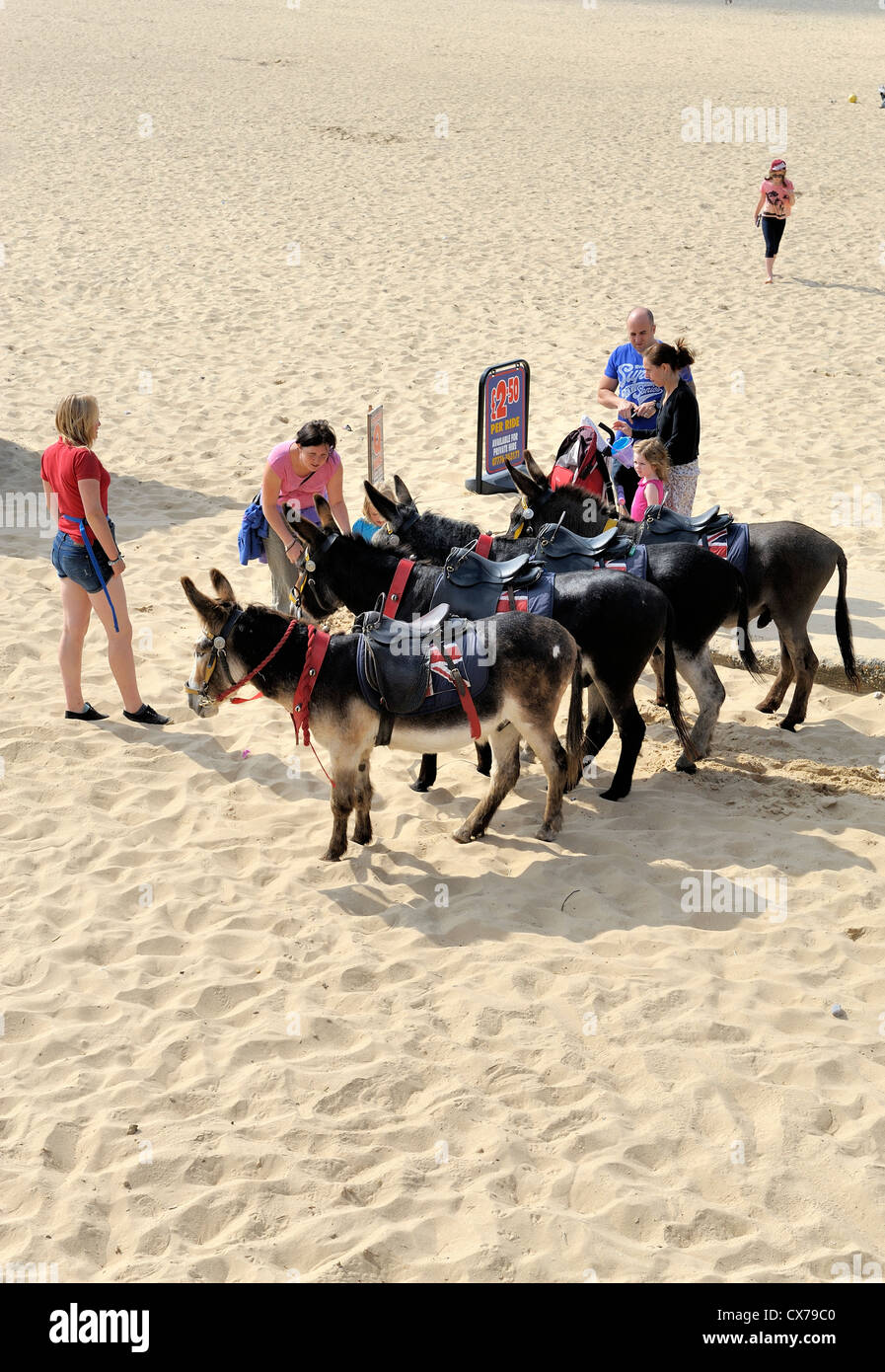 Donkey rides on Yarmouth beach Norfolk England uk Stock Photo - Alamy